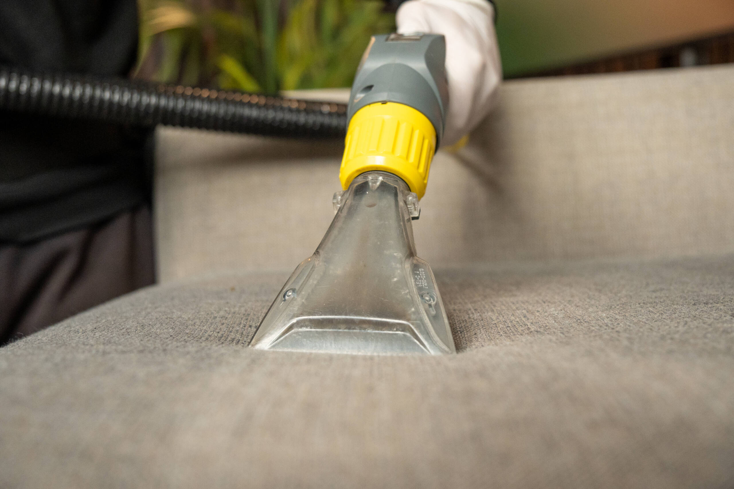 Rengøring af Sofa: Sådan Holder Du Din Sofa Frisk og Holdbar - Bring&Clean